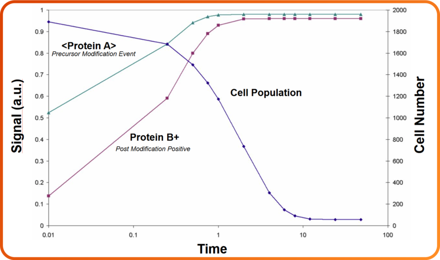 Identifyn® assay development services for reproducible science | Identifyn®